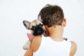 Dog Bites Your Nose? Here's Why & What to Do | Woof & Beyond