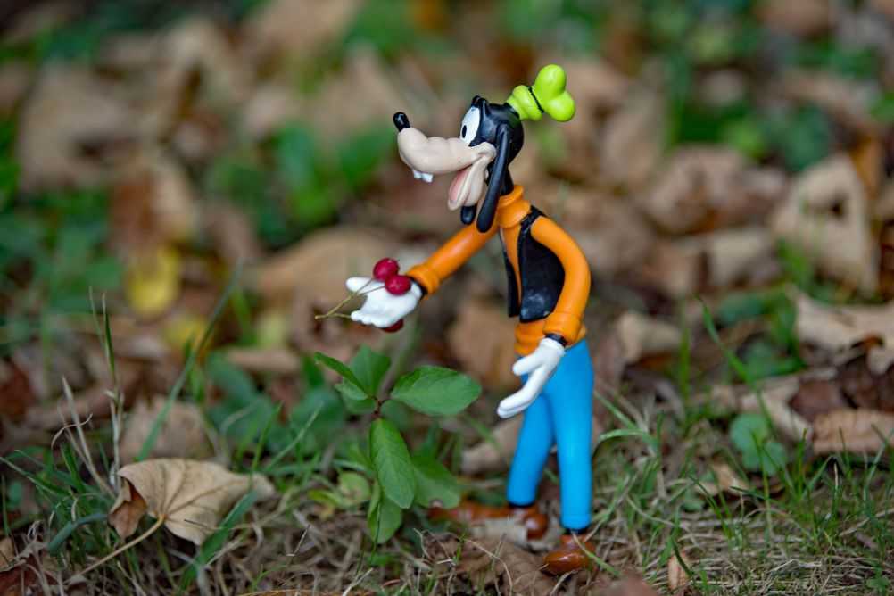 The TRUTH About Goofy's Confusing Identity: Is He a Dog or a Cow ...
