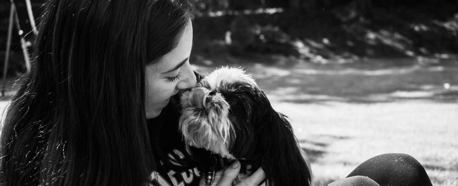Dog Bites Your Nose? Here's Why & What to Do | Woof & Beyond